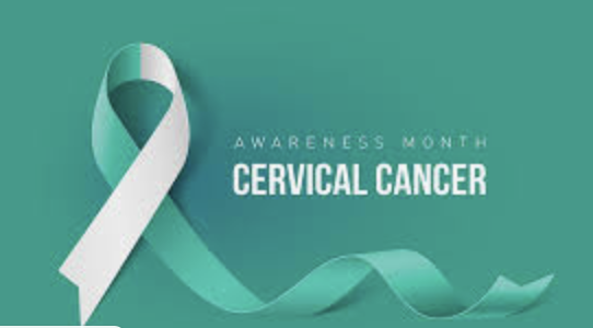 National Public Health Information Coalition (NPHIC) - January Is ...